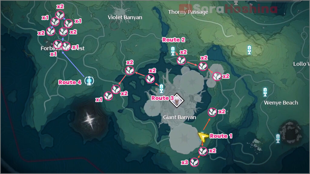 Coriolus Route & Farming Guide | Wuthering Waves