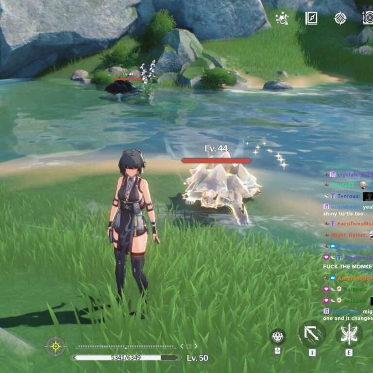 Phantom (Shiny) Echo Guide and Locations | Wuthering Waves