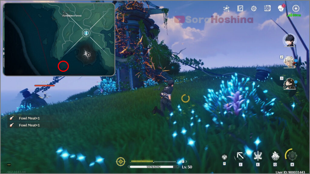 Repair the 5 Lighthouses & Lost History Side Quests Guide | Wuthering Waves