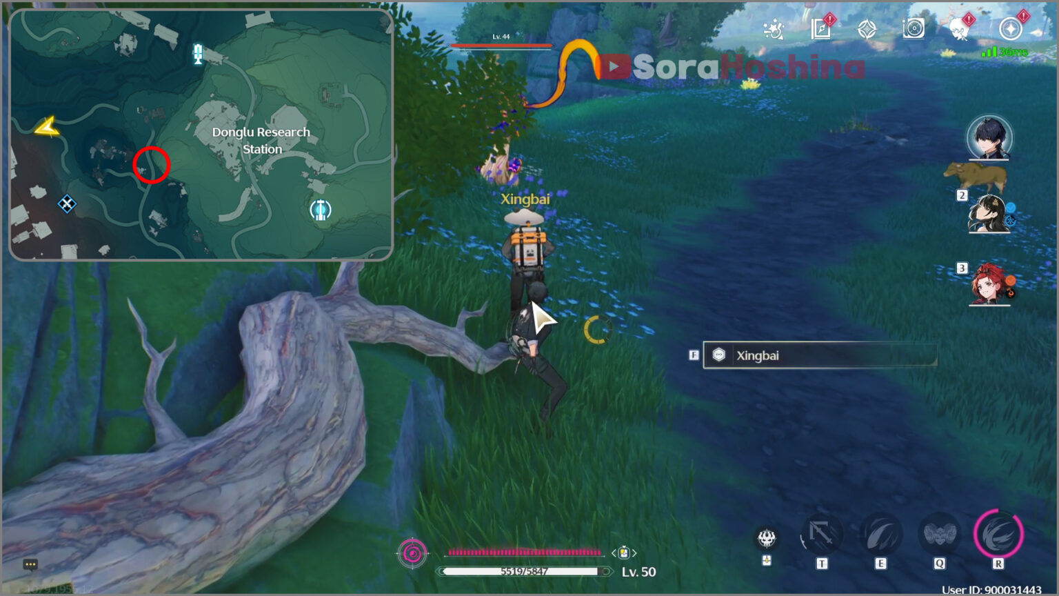 NPCs Who Give Astrite for Free (Update) | Wuthering Waves