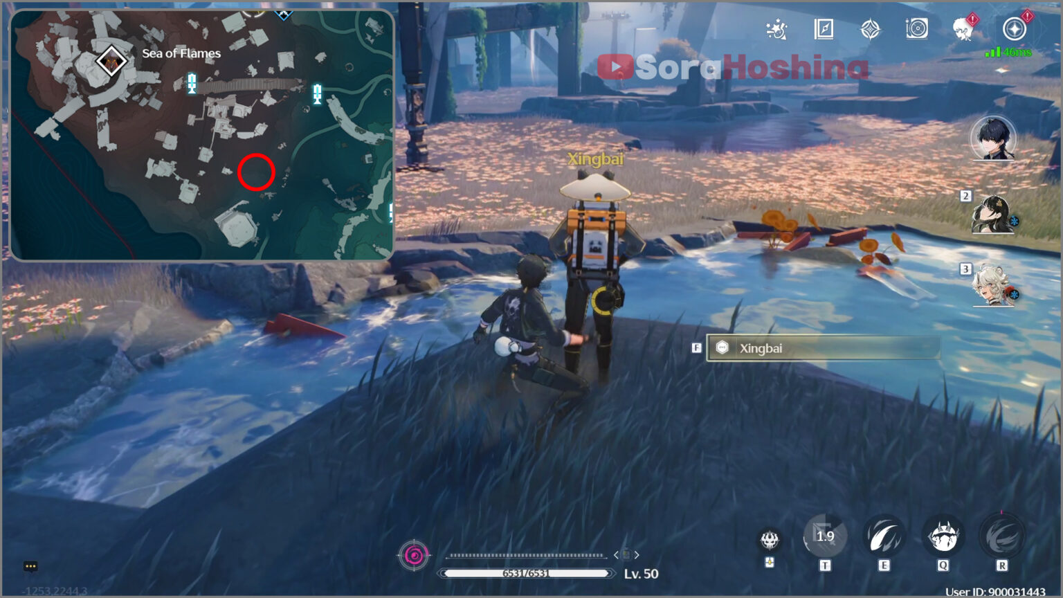 NPCs Who Give Astrite for Free (Update) | Wuthering Waves