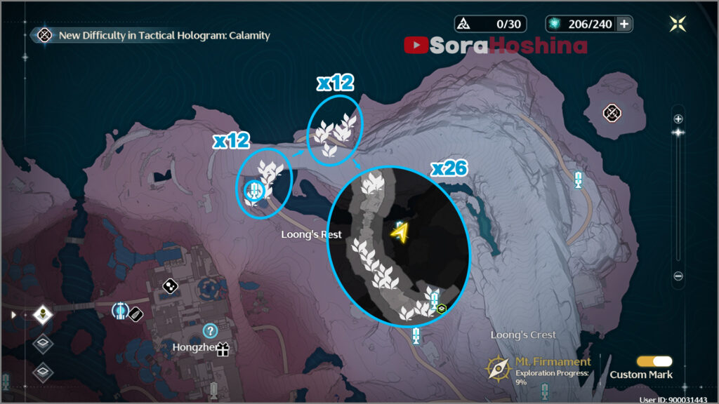 Loong's Pearl Route & Farming Guide | Wuthering Waves