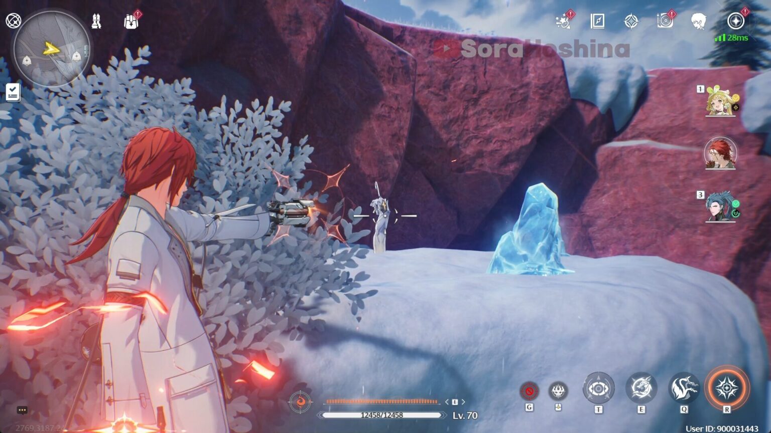 All 10 Frostbugs in Mt. Firmament | Wuthering Waves